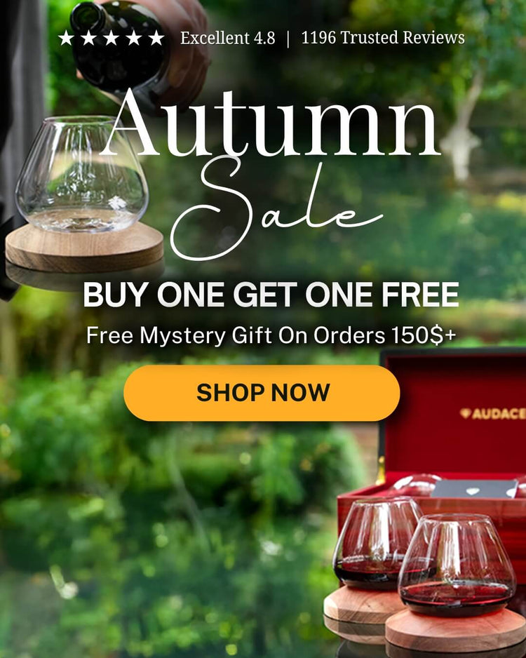 Aequilibrium Glasses by Audacem | Elegant Handmade Glassware